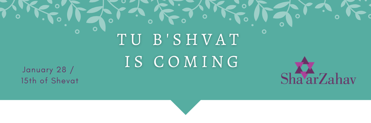 Tu B'Shvat Banner (3) - Sha'ar Zahav